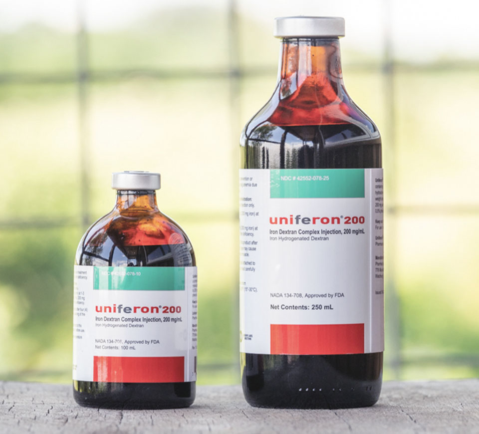 Uniferon 200 Iron Supplement for Baby Pigs