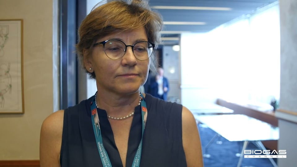 Biological conversion of CO2 to methane as an innovative method for ...