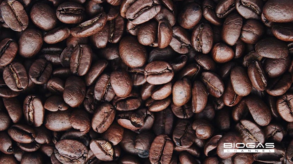 Biogas and biomethane from coffee processing by-products: an ...