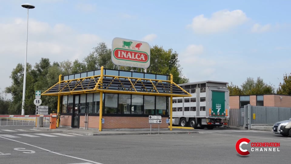 Cogeneration applied to the meat industry: the new entrepreneurial ...