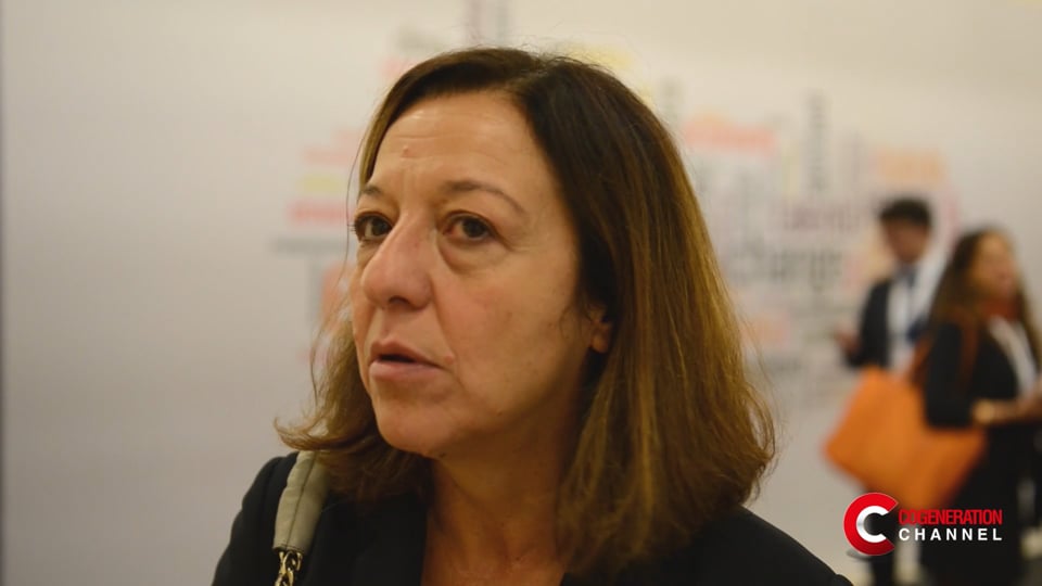 Energy efficiency and Italian industry | NetZeroTube