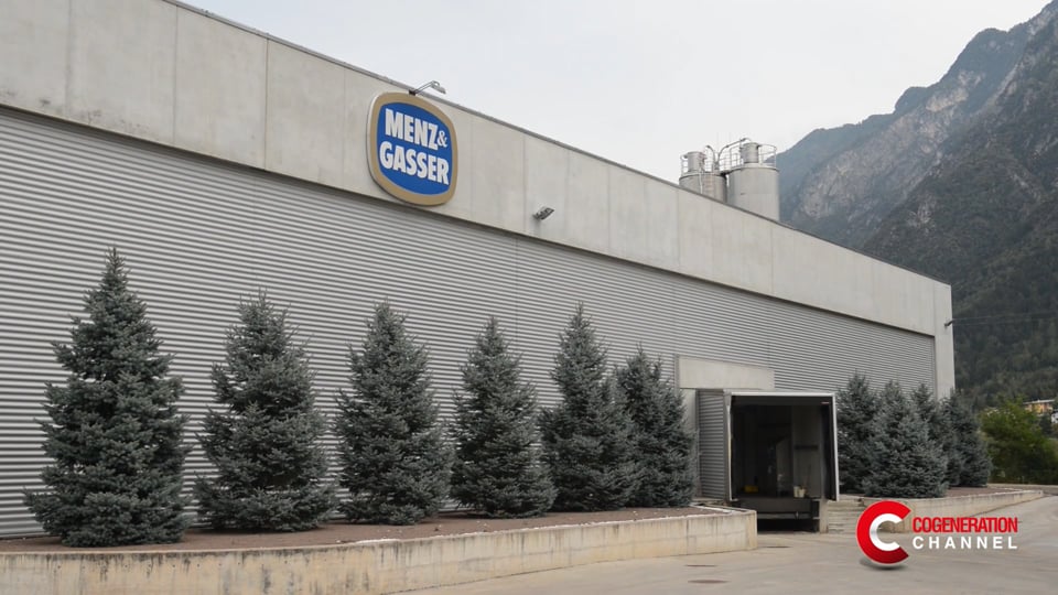 Menz & Gasser’s recipe for biogas and natural gas cogeneration success ...