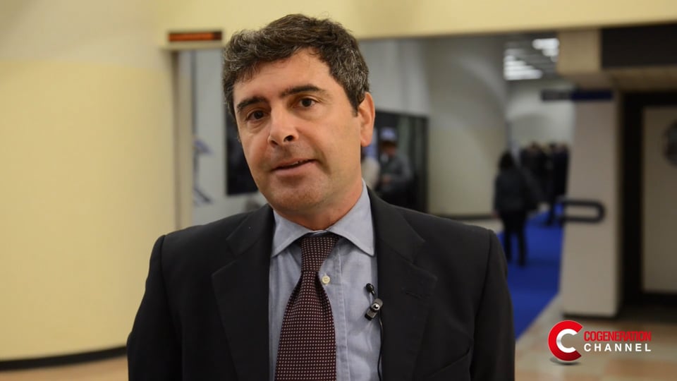 The efficiency of a cogenerator depends on its location and size ...