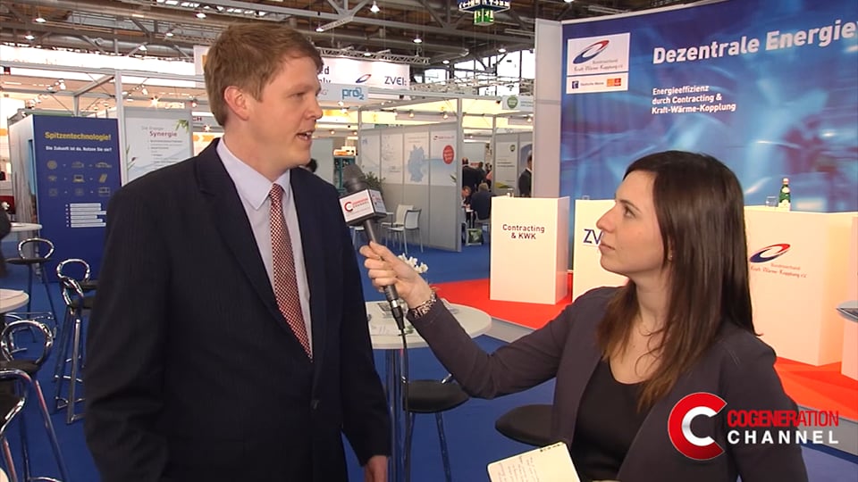 DENEFF and the new German renewable energy law | NetZeroTube