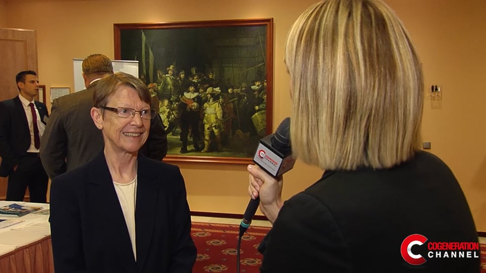 Forecast 2030-2050: CHP supports renewable energy in the electricity ...