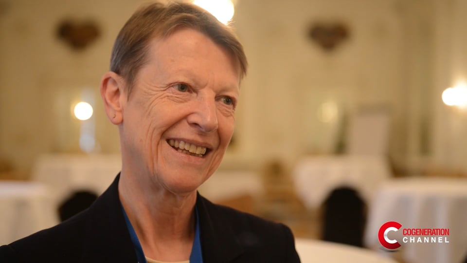 CODE2: a new Roadmap for CHP in Europe | NetZeroTube