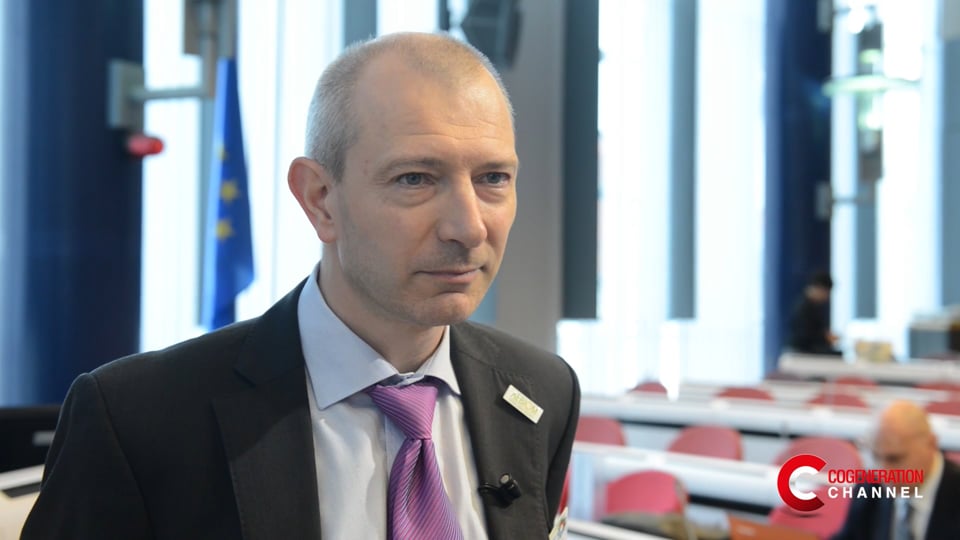 Biomass for the European energy transition | NetZeroTube