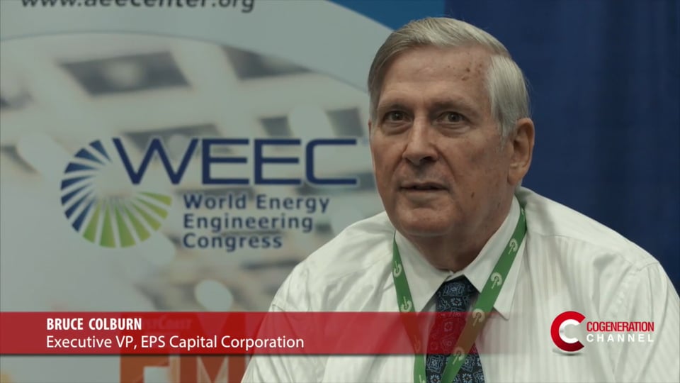 Challenges and advantages for the first cogeneration plant in the ...