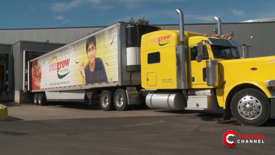 Intergrow Greenhouses: the US greenhouse which has chosen "island mode ...