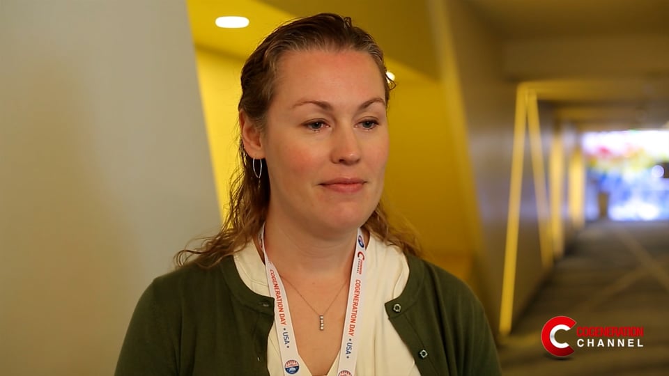 Blackout-proof microgrids in the United States | NetZeroTube