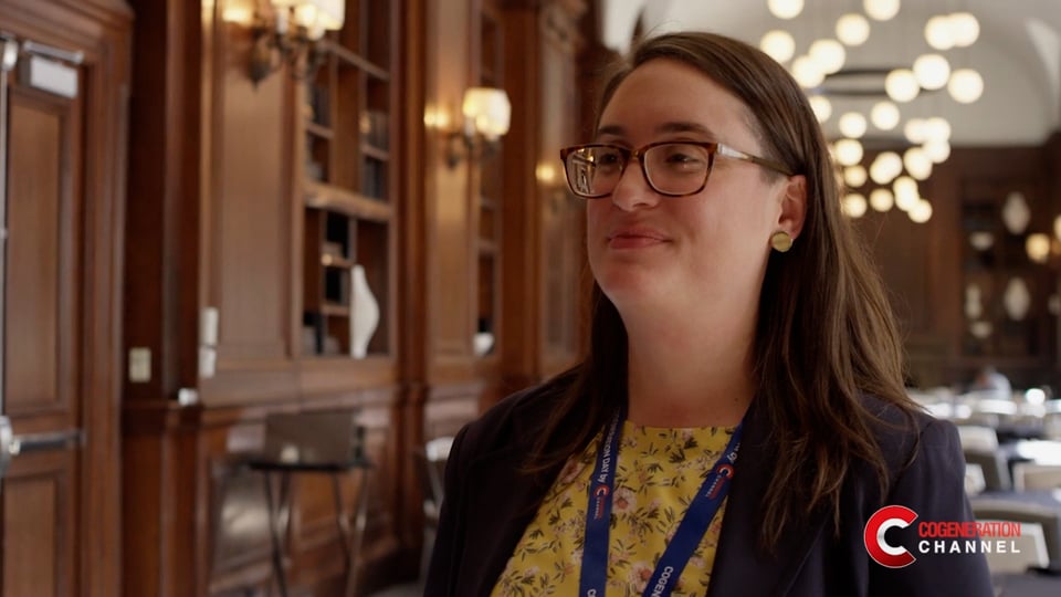 Microgrids, industry and critical infrastructures in the future of ...