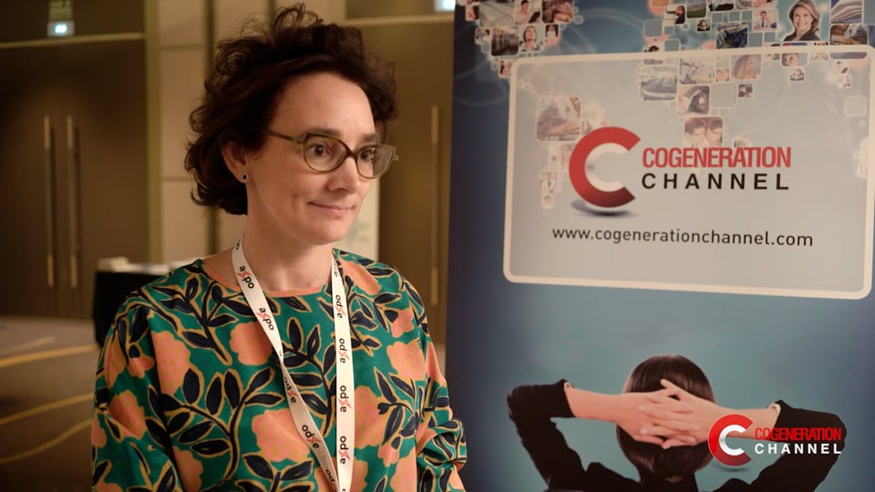 Spain: the country’s political parties give their go-ahead for ...