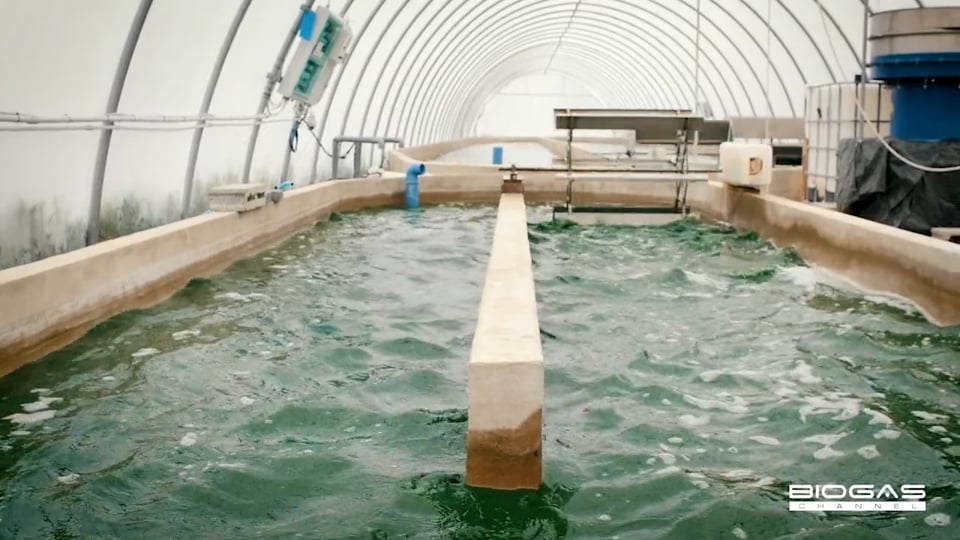 Spireat: spirulina produced from synergies between biogas and ...