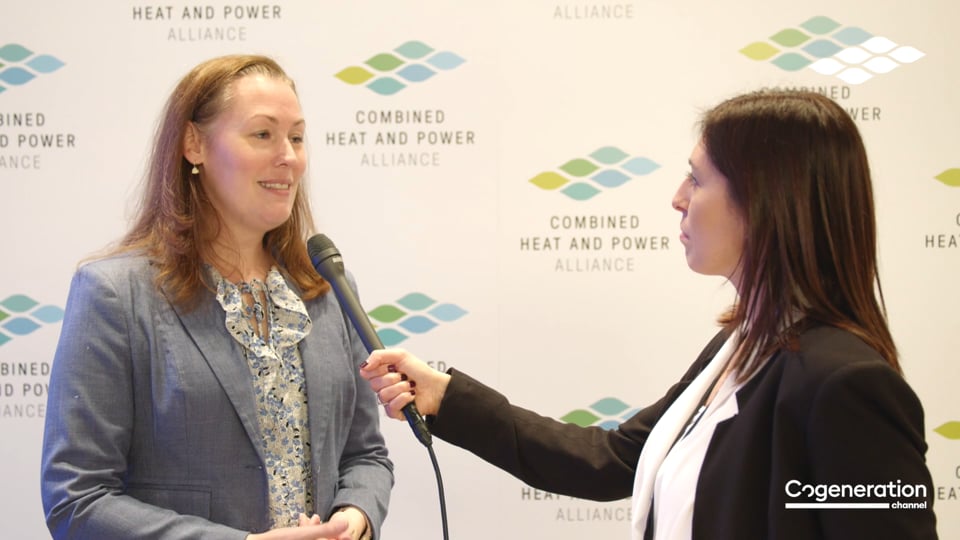 In the Industrial Decarbonisation Roadmap, cogeneration is included as ...