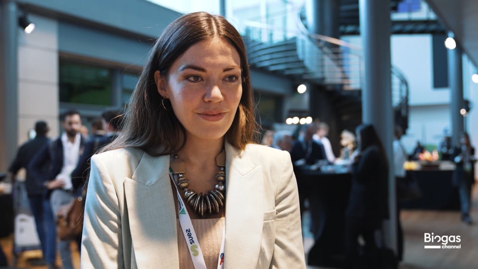 Biohydrogen and pure carbon starting from biogas. The Horizon Europe ...