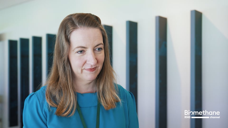 DAFM Ireland: introduction to the biomethane/RNG sector and to the ...