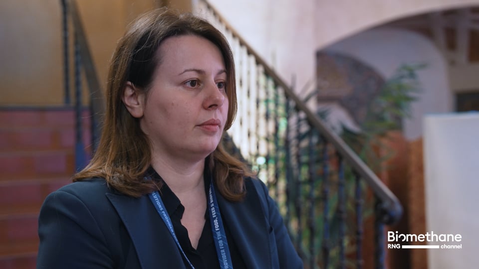 The biomethane sector in the near future: investments and policies ...