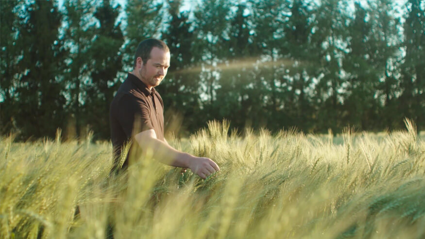 Quelles sont les étapes de fabrication du beurre?