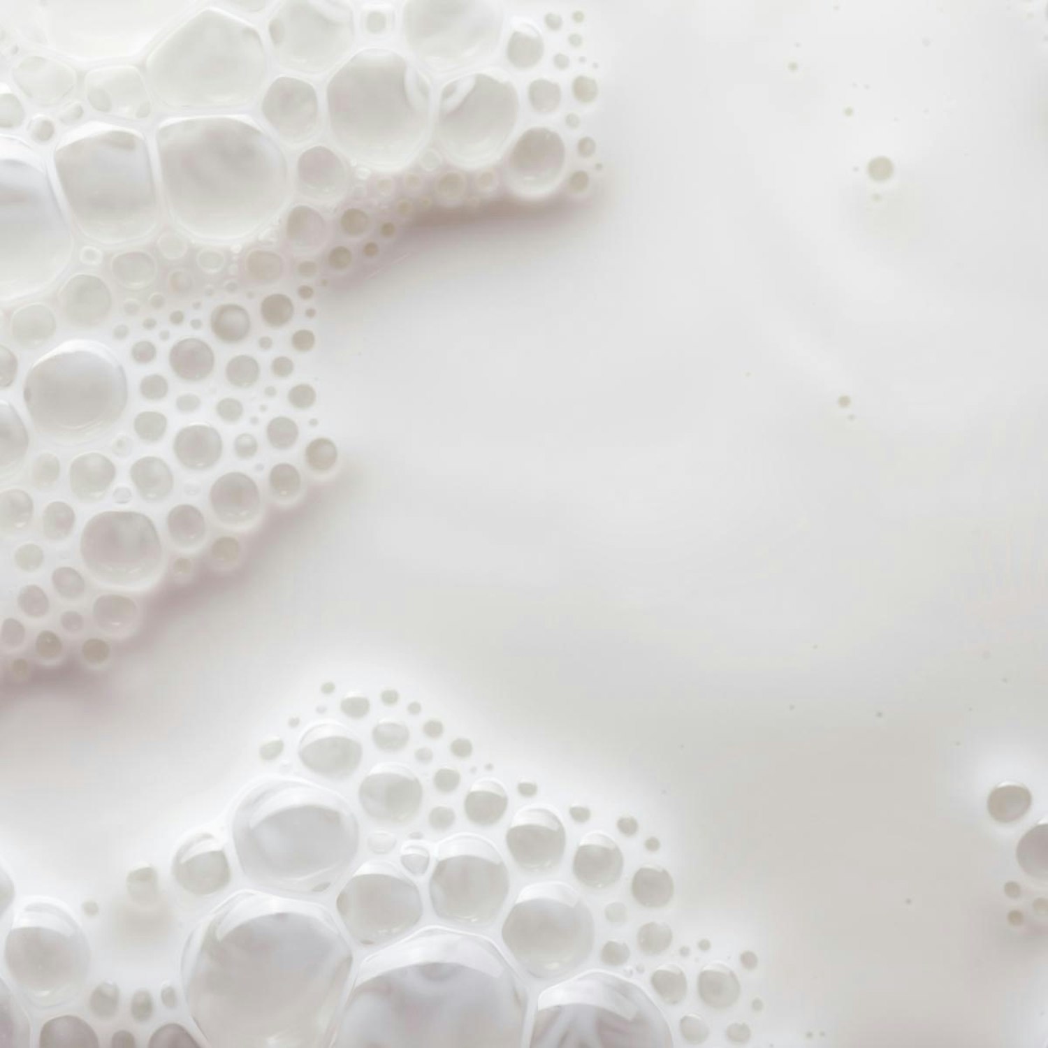 Les étapes de production du lait au Québec | La Famille du lait