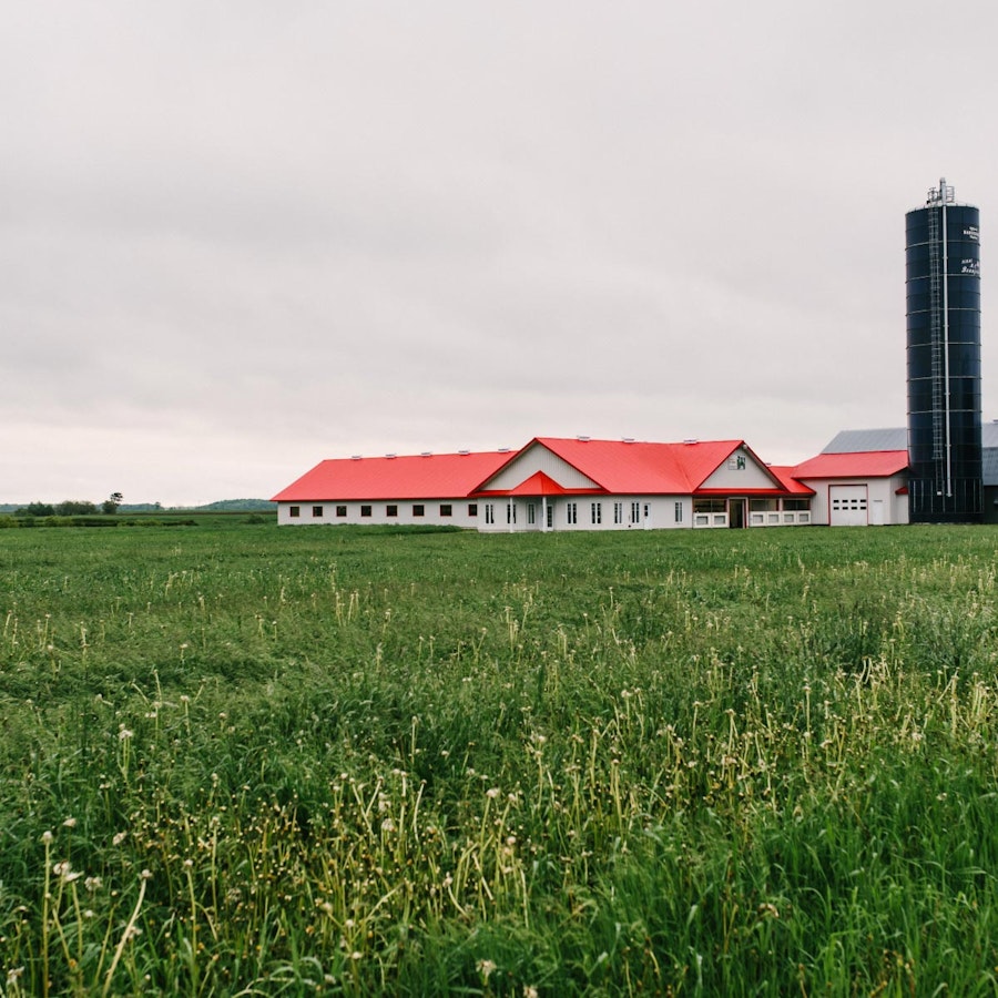 Les étapes de production du lait au Québec | La Famille du lait