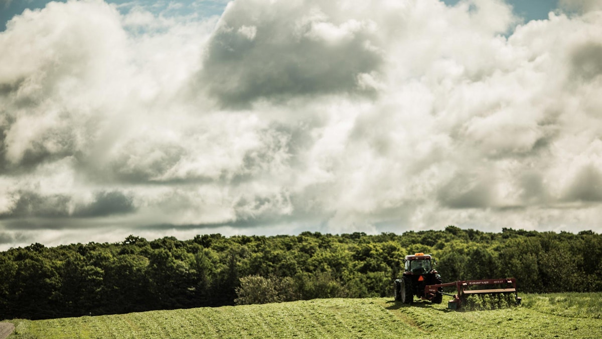 L'organisation des Producteurs de lait du Québec