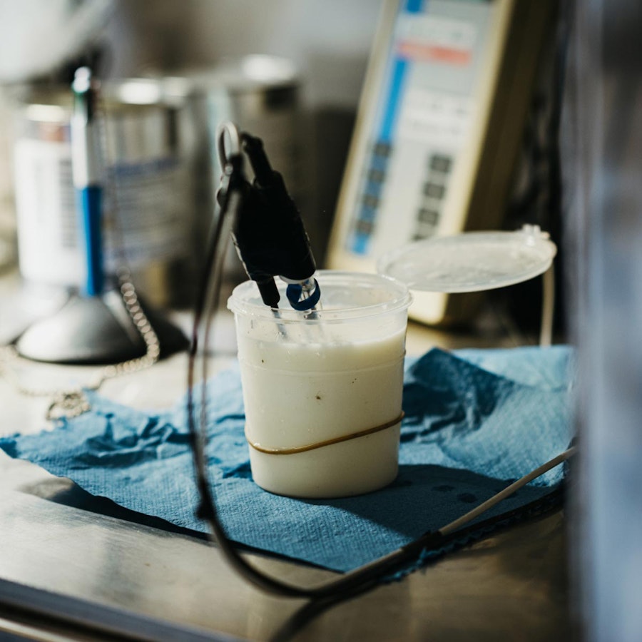 L'organisation des Producteurs de lait du Québec