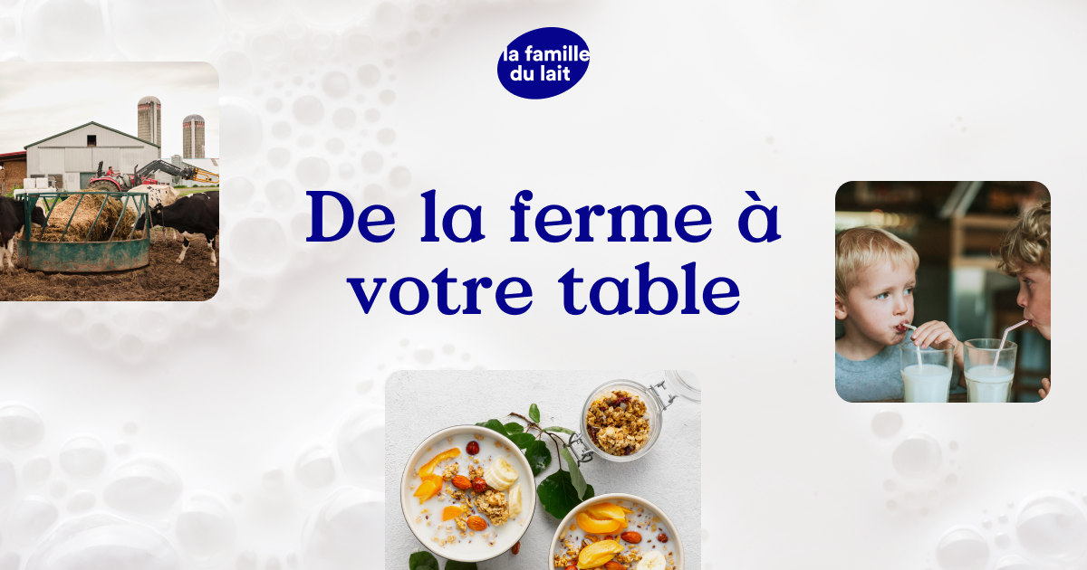 Quelle quantité de lait une vache produit-elle en une journée?