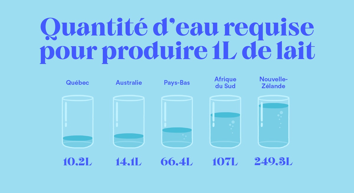 Comment on conserve l’eau sur une ferme laitière? | Famille du lait