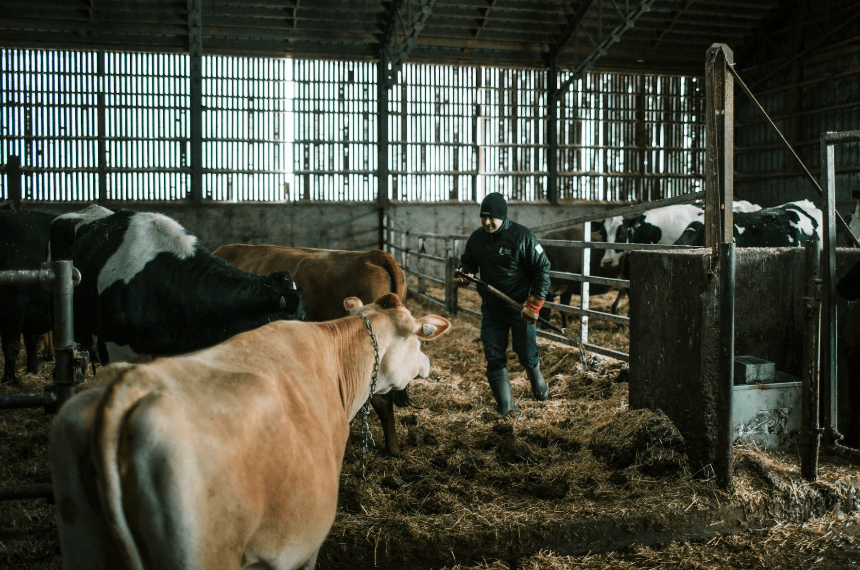Notre lait. Nos régions | La Famille du lait