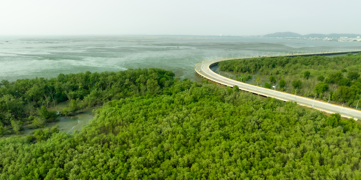 Carbon Capture: Enabling the Transition to Sustainable Energy