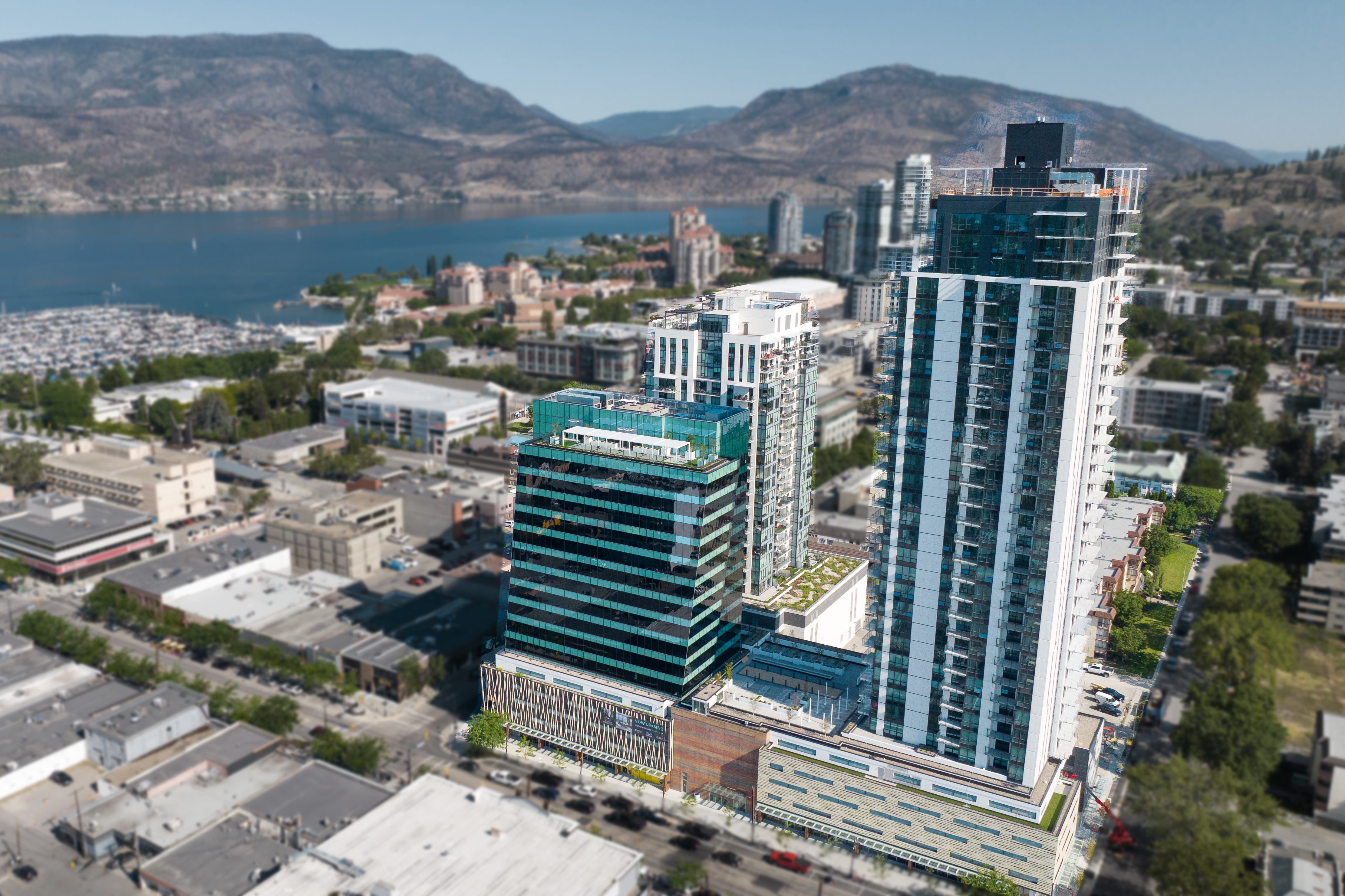 The Block : Nicola Wealth