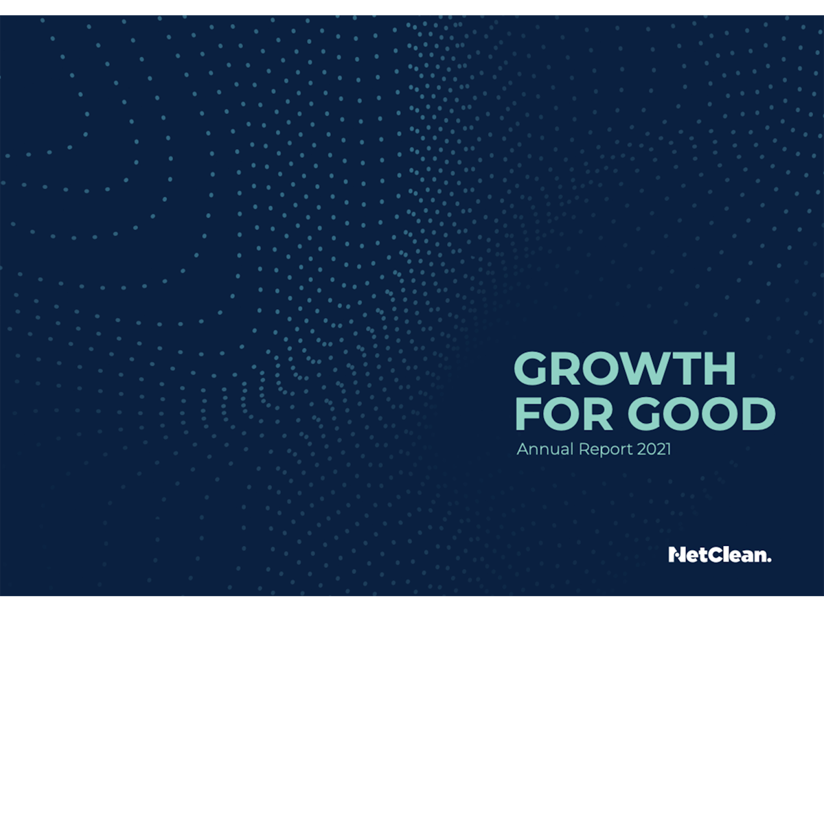 Annual Report | NetClean