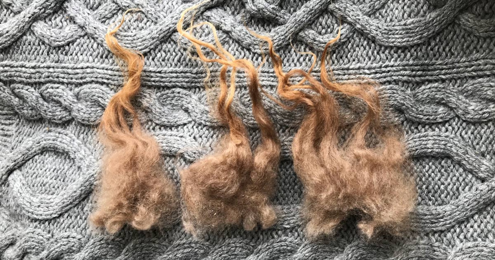 How to Spin Wool from an Icelandic Sheep | Spin Off