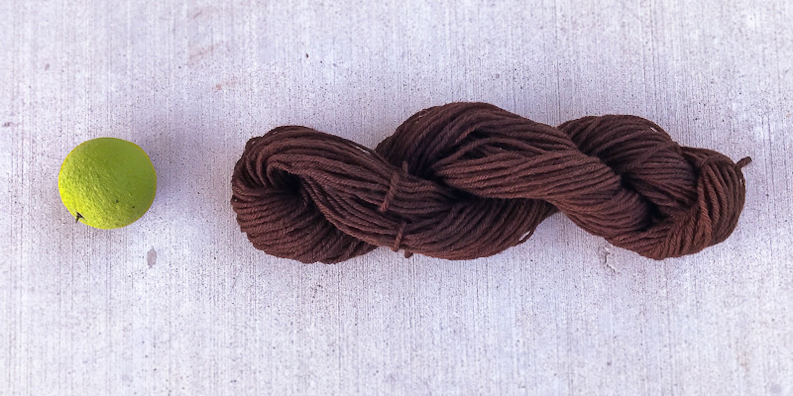 Natural Dyes: Foraging for Local Color | Spin Off