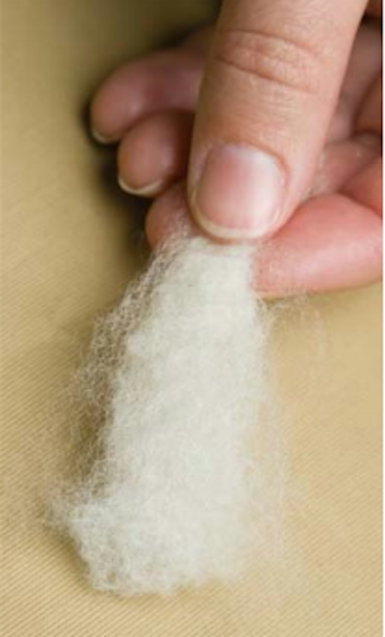 Flick Carding by Carol Huebscher Rhoades | Spin Off