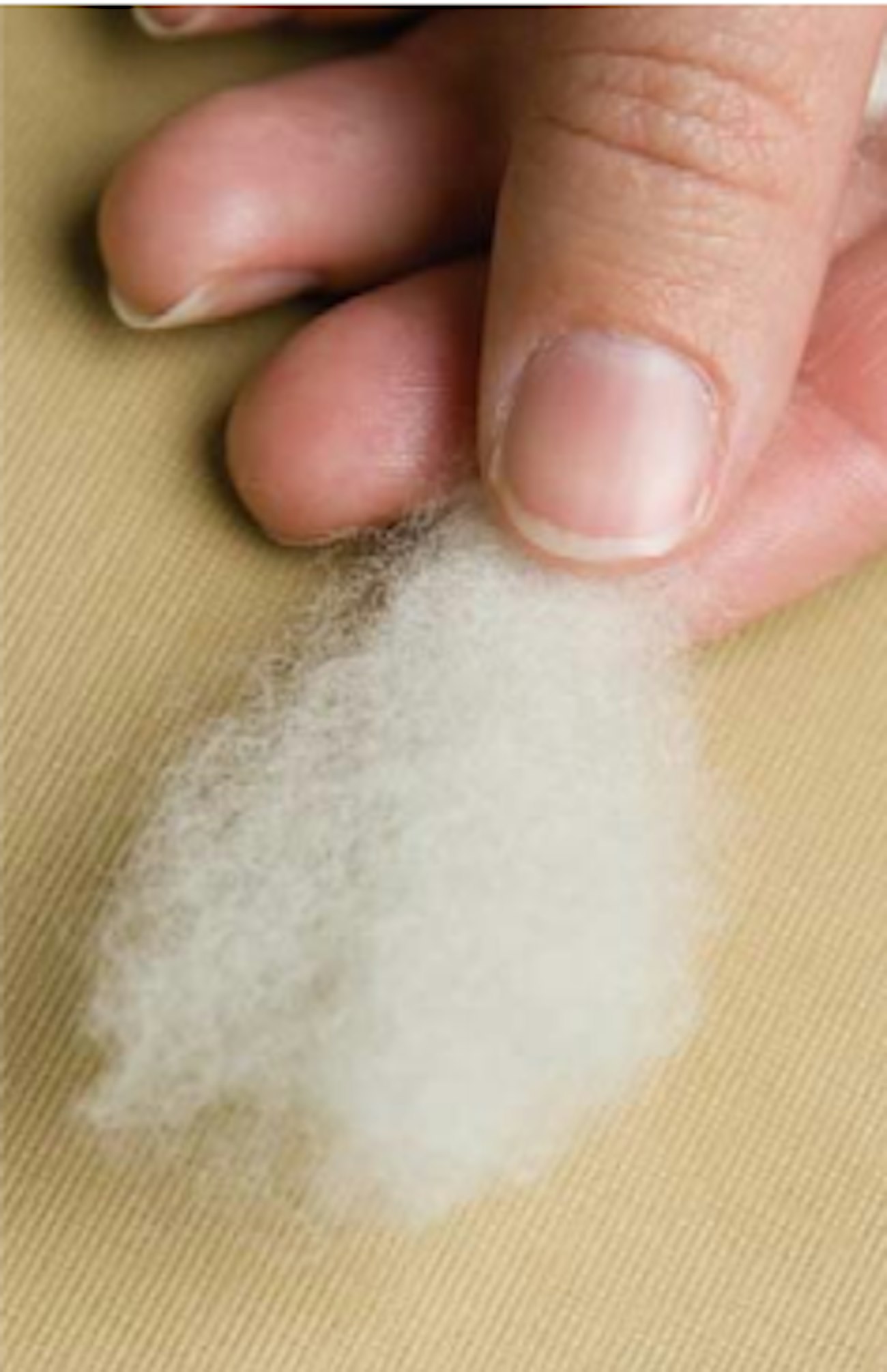 Flick Carding by Carol Huebscher Rhoades | Spin Off