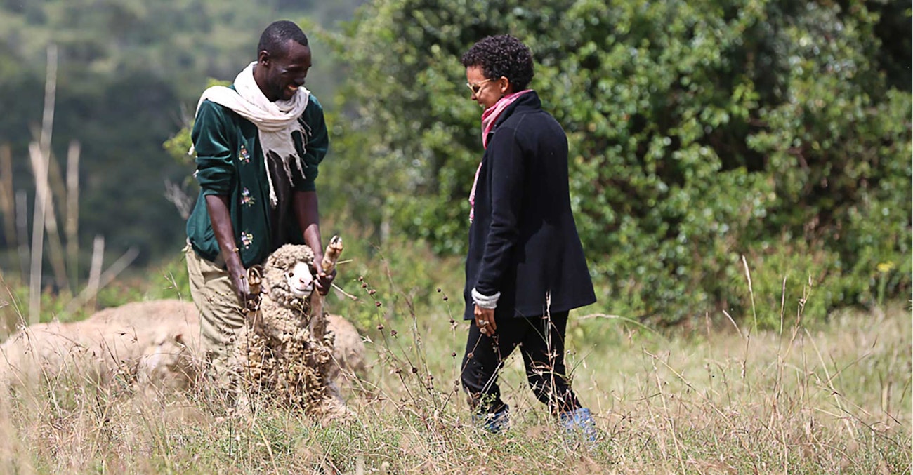 Sister Proprietors: Provisions Kenya | Spin Off