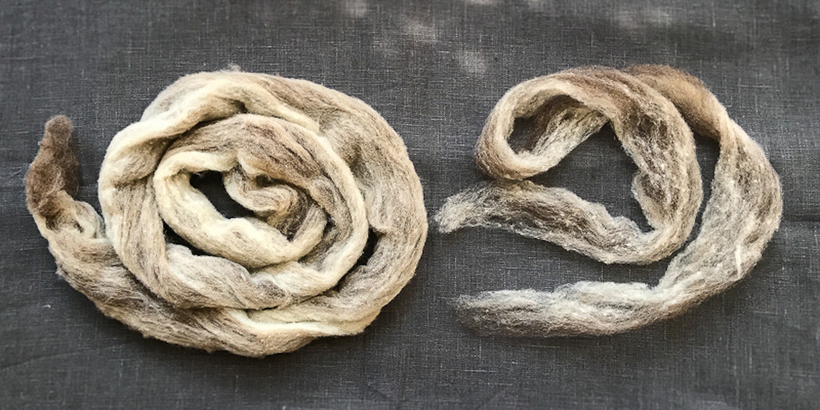 Roving Reporter: The Lumpy, Bumpy Story of Neps and Noils in Roving ...