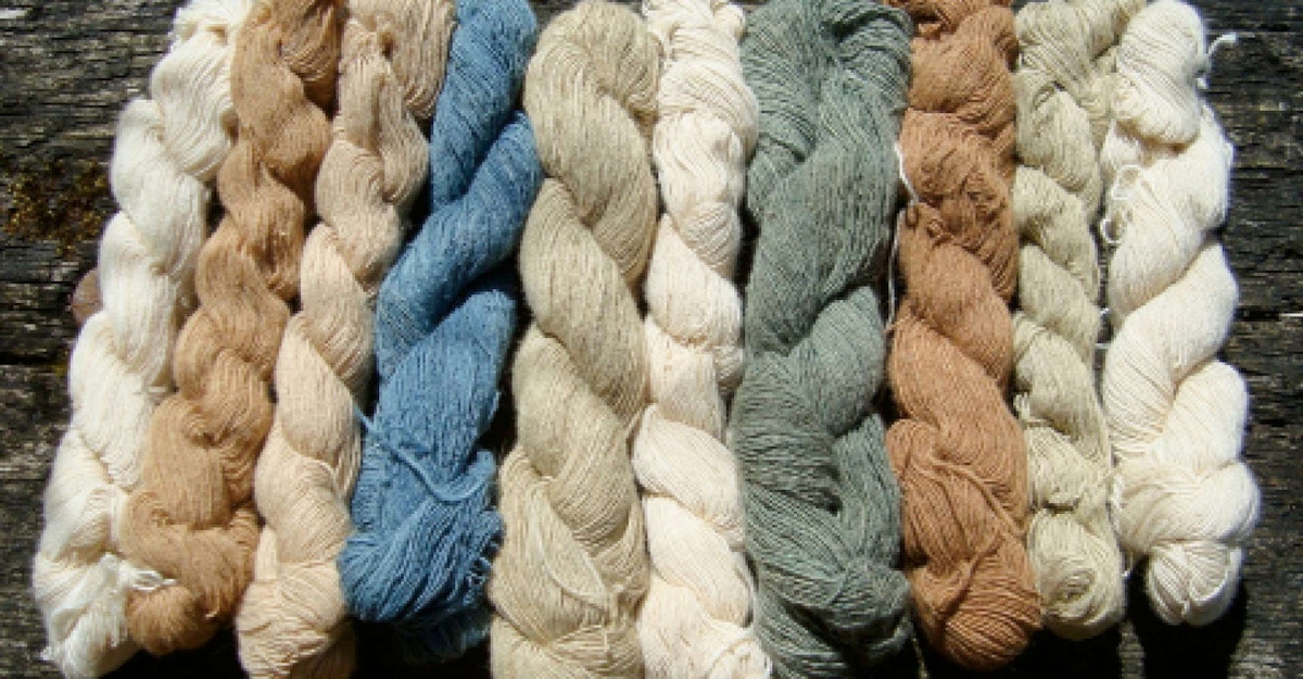 Kristin Merritt: Honest Cloth | Spin Off