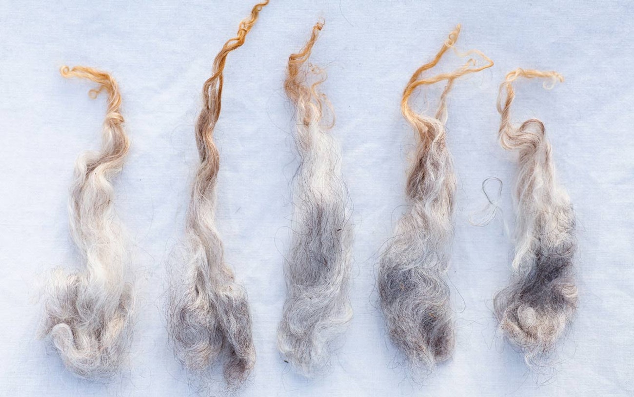 Twist Analysis Twined Knitting | Spin Off