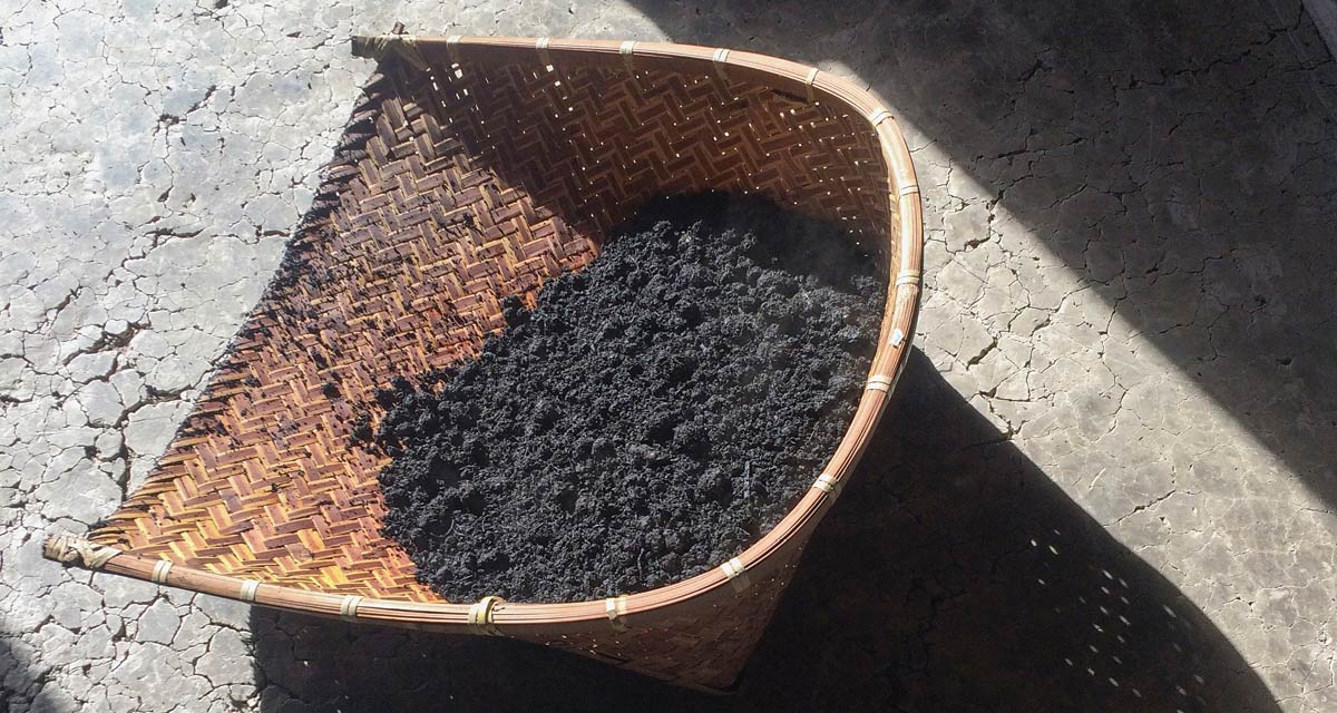 Growing Indigo in Indiana | Spin Off