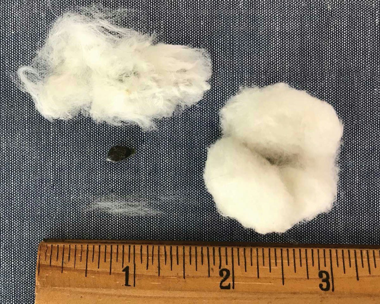 The Joy of Spinning Florida Native Cotton | Spin Off