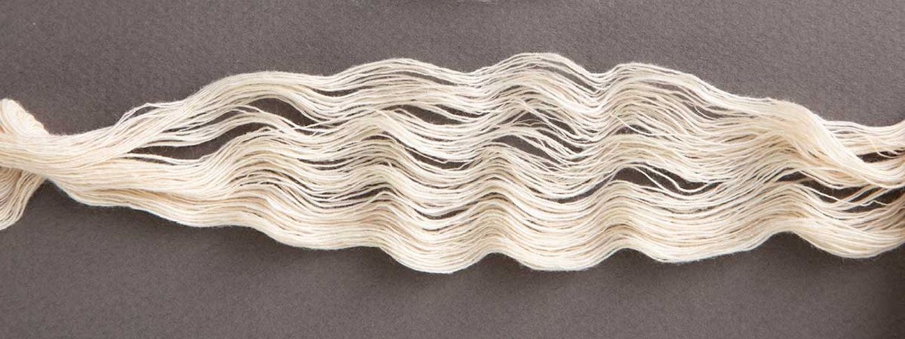 A Sea Island Cotton Tale | Spin Off