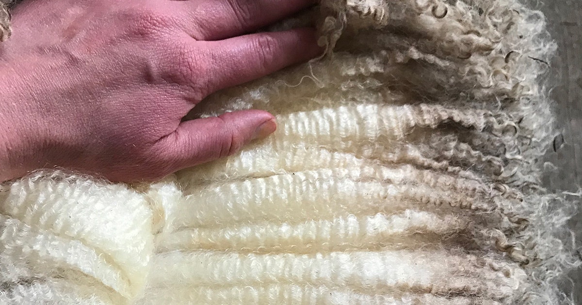 Spinning Strong Wools | Spin Off