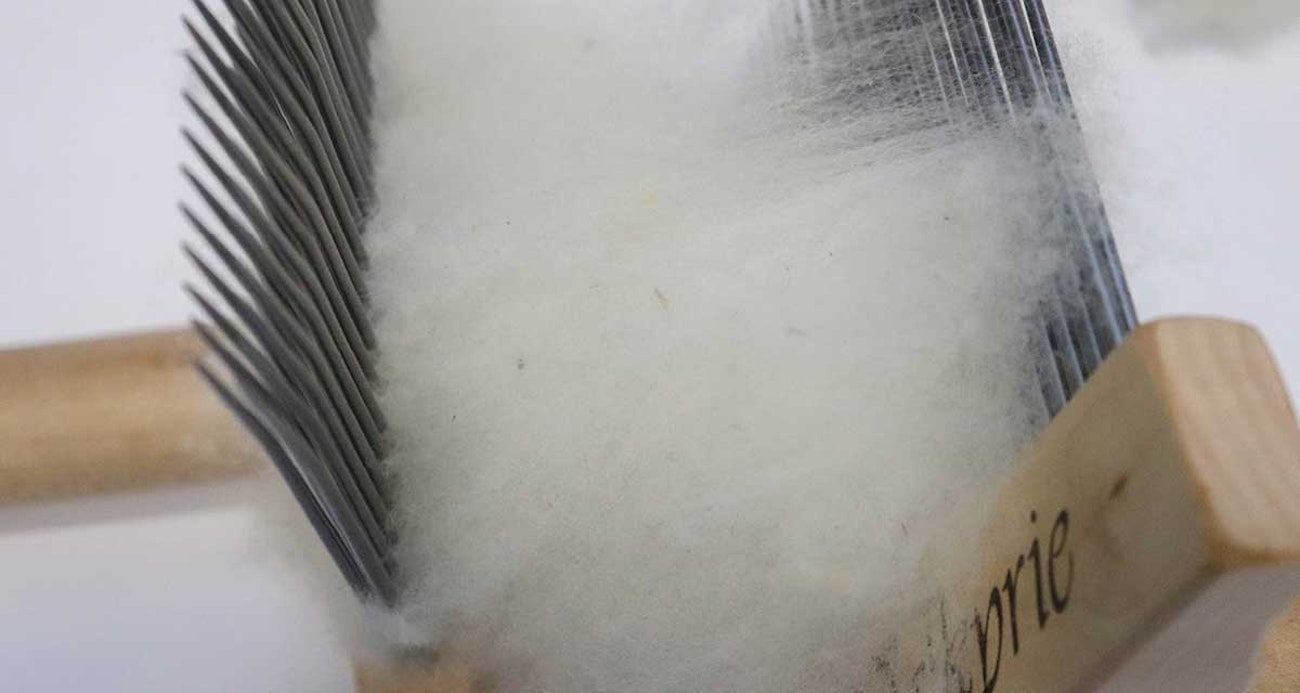 The Great Fleece Makeover | Spin Off