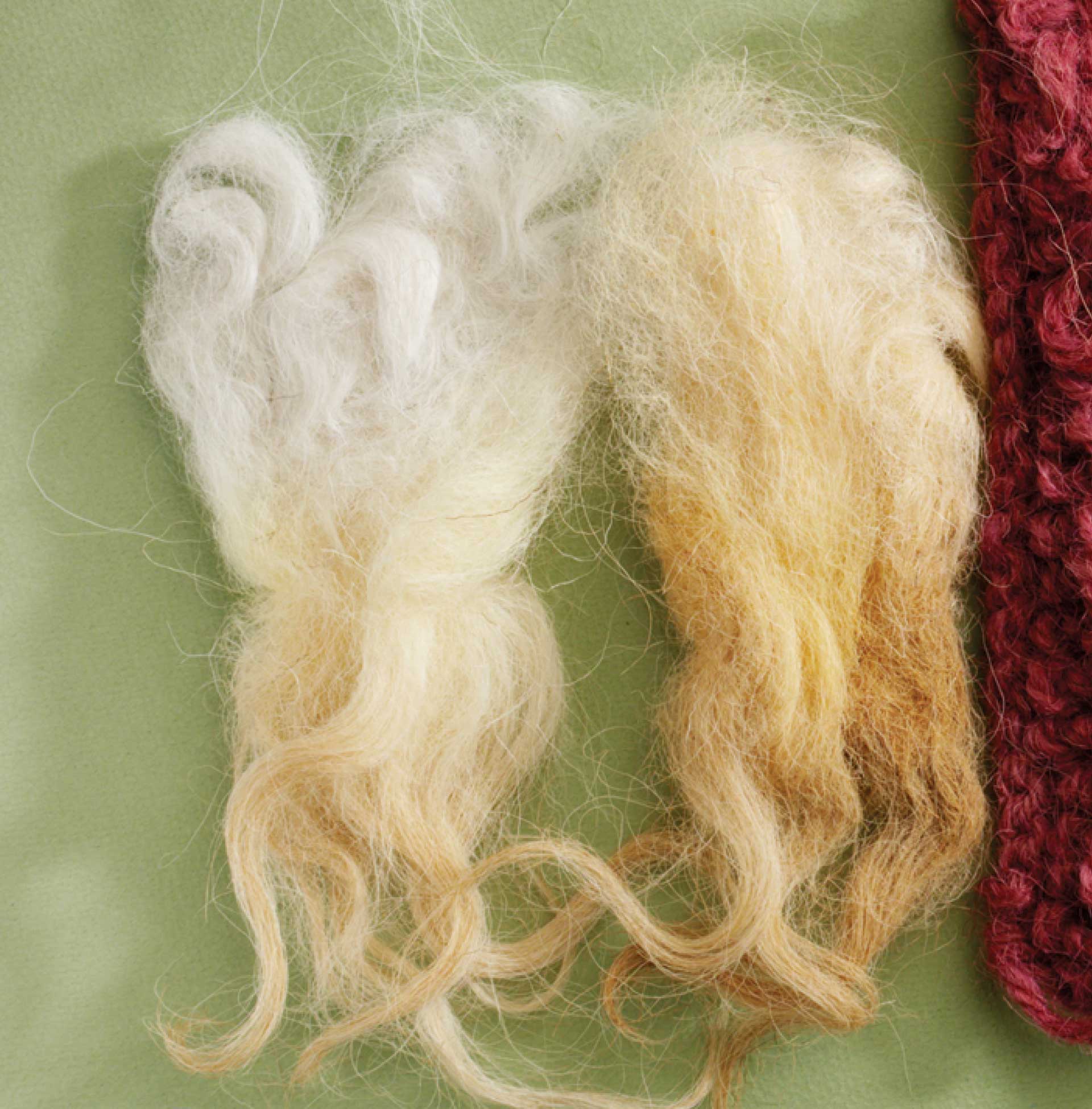 Choosing Fiber—Where to Start? | Spin Off