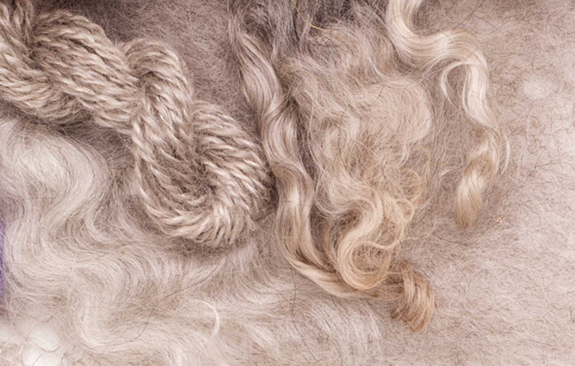 Choosing Fiber—Where to Start? | Spin Off