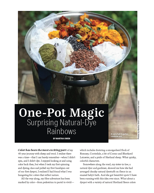 One-Pot Magic: Surprising Natural-Dye Rainbows | Spin Off Library