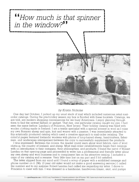 How Much is That Spinner in the Window? | Spin Off Library