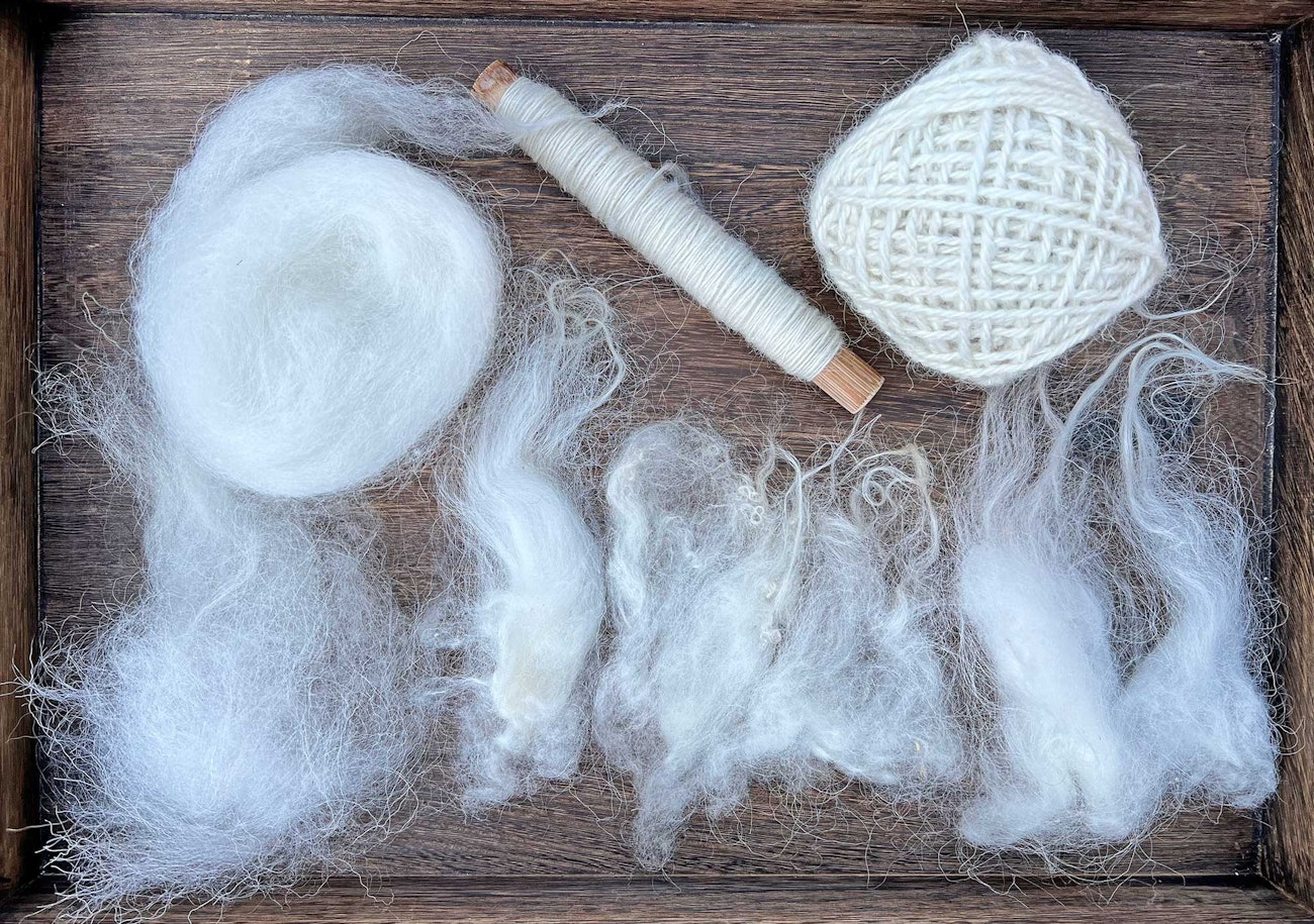 Double-Coated Wool: Separate, Blend, or a Bit of Both? | Spin Off